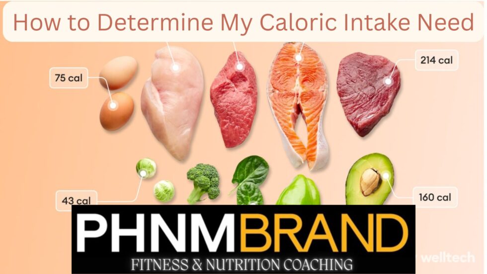 How to Determine My Caloric Need | PHNM Lifestyle